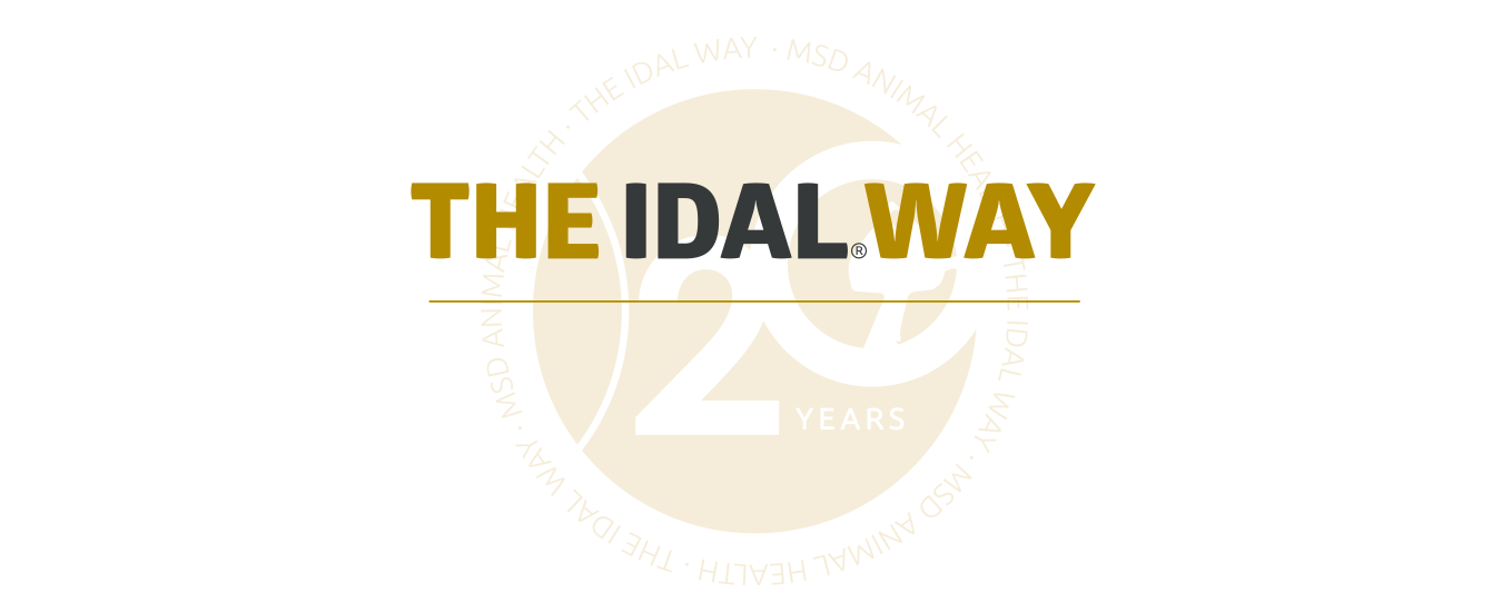 The IDAL WAY - Global Swine