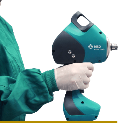 The IDAL WAY - Global Swine