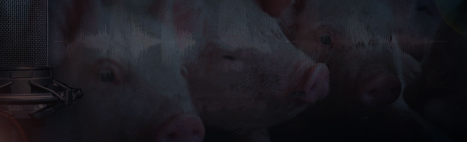 Dr. Adam Moeser-Tips on Gut Health - Global Swine