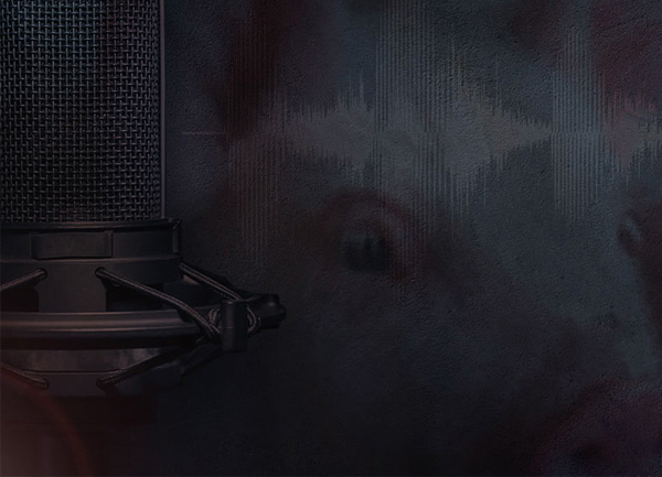 Dr. Sandra Blome -Tips on ASF - Global Swine