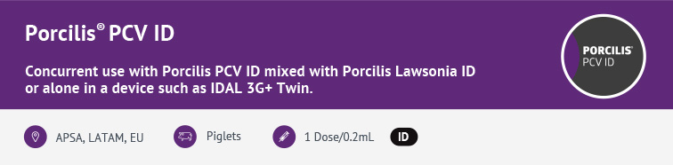 The IDAL WAY - Global Swine