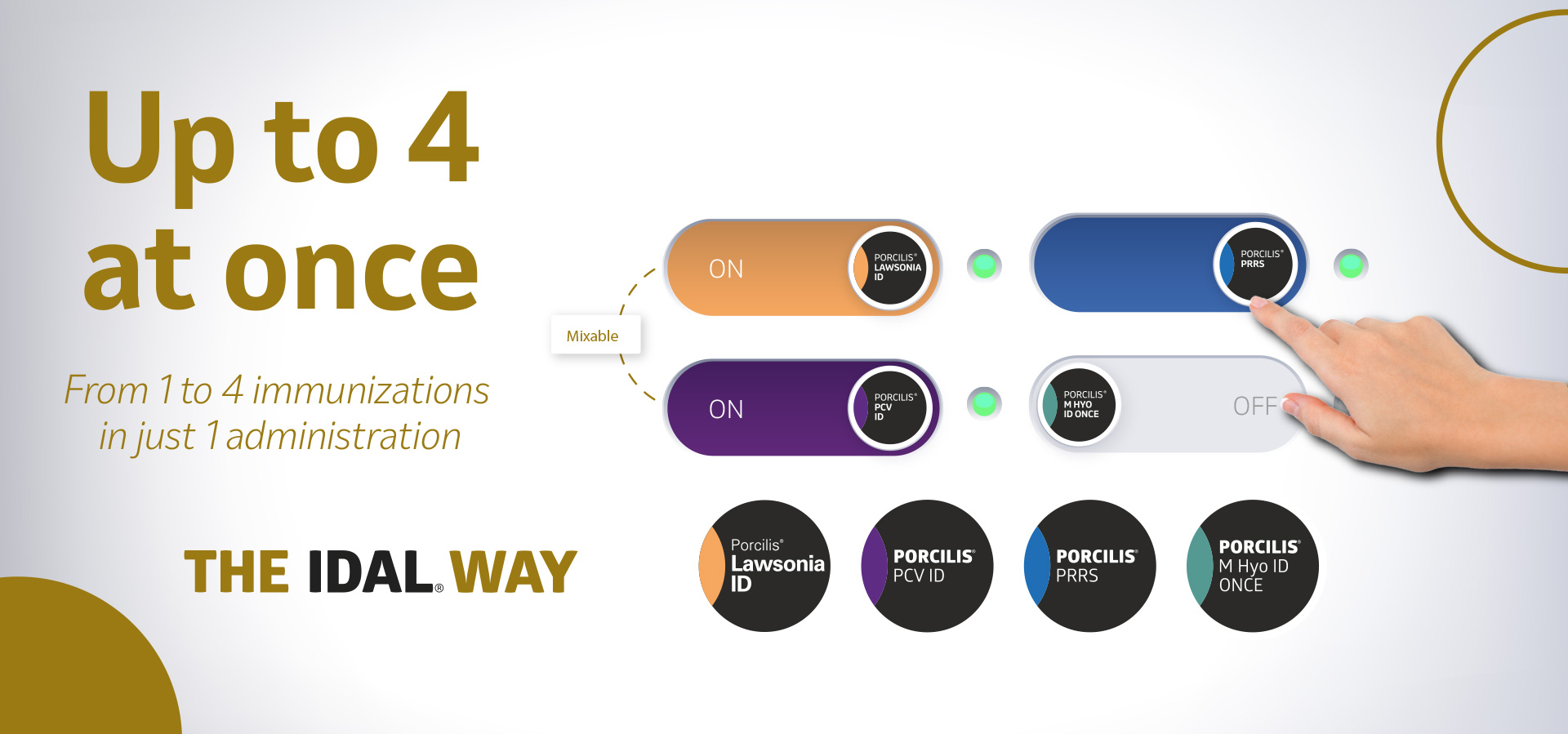 The IDAL WAY - Global Swine