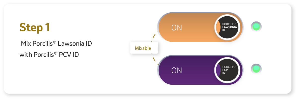 The IDAL WAY - Global Swine