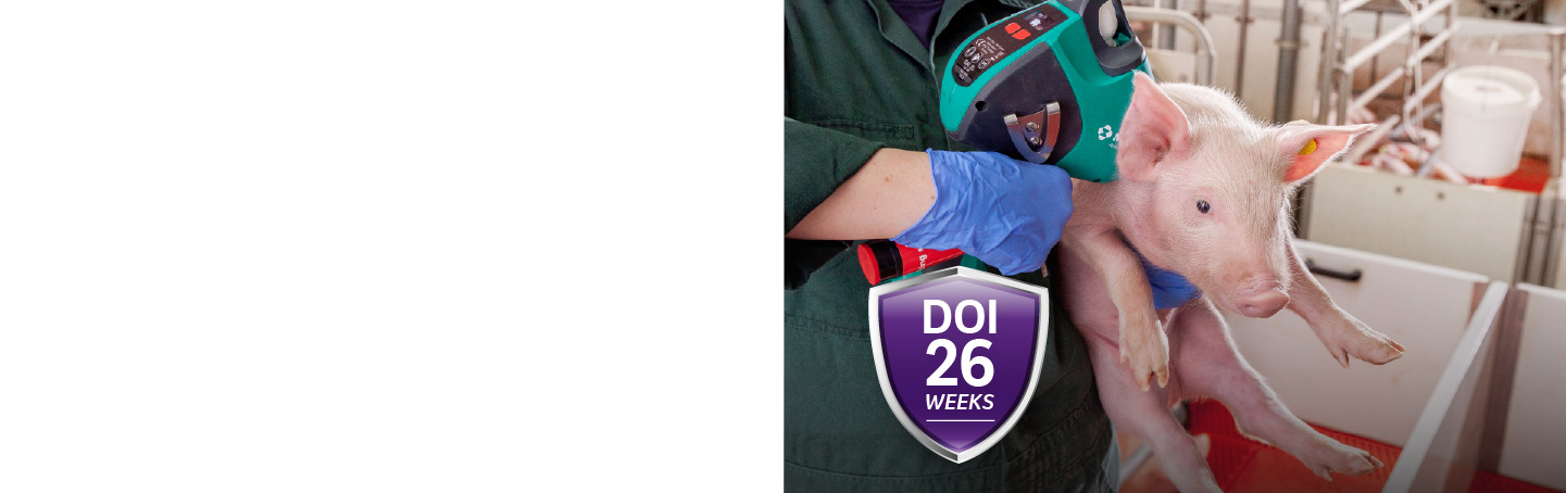 Total Pig Health - Global Swine