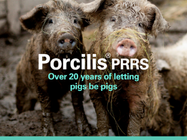 Porcilis® PRRS - Global Swine